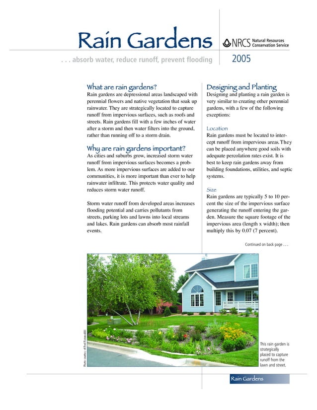 Rain Garden - How to Guide Sheets | PDF | Gardening | Home & Garden
