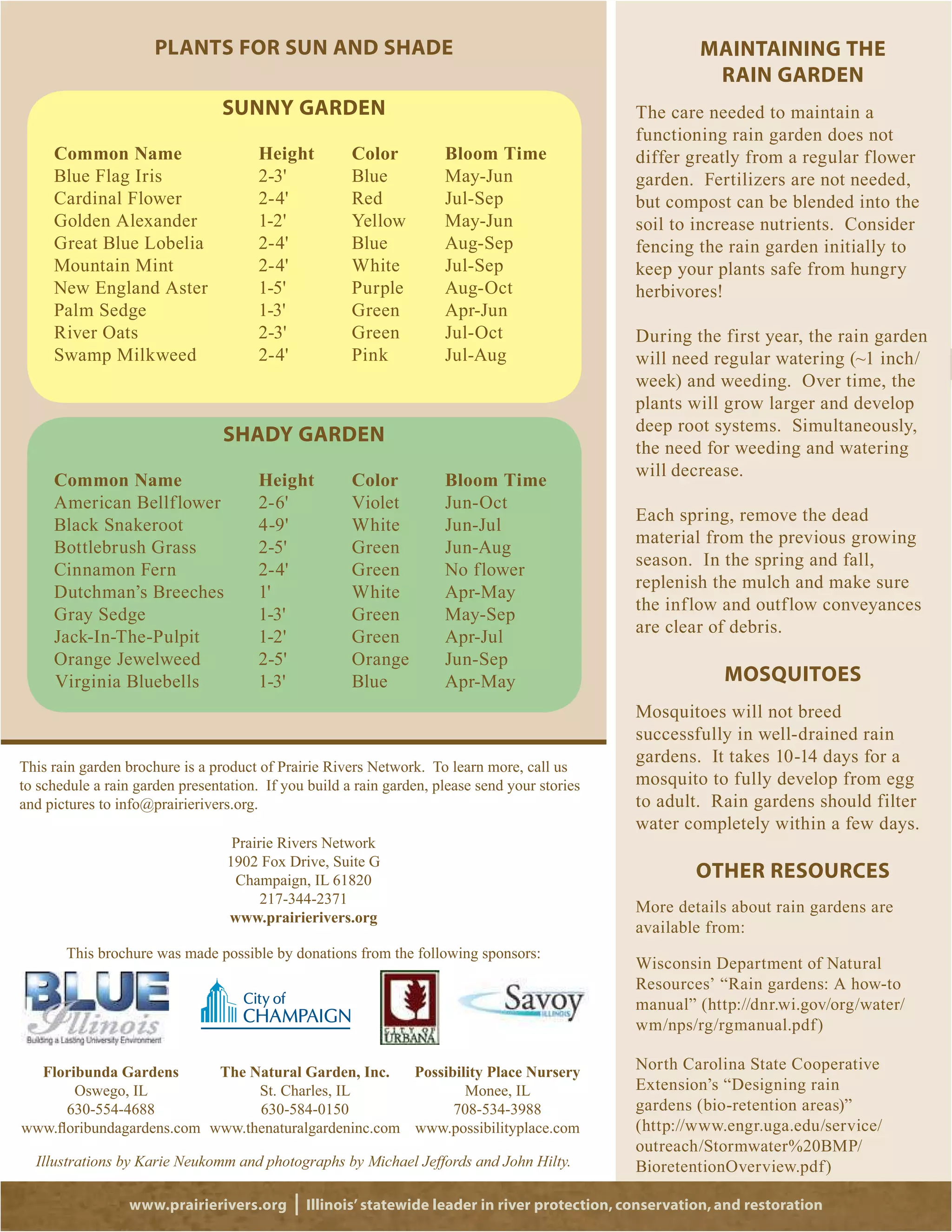 Prairier Rivers Network: Rain Gardens for Illinois | PDF