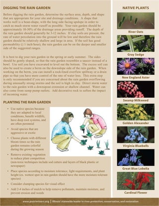 Prairier Rivers Network: Rain Gardens for Illinois | PDF
