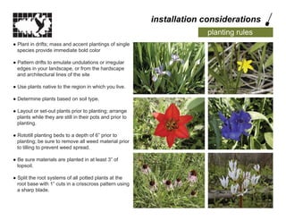 Rain Garden Design and Installation Manual - EcoServ | PDF