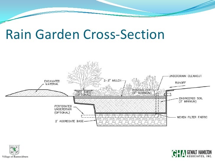 Rain Garden Cross Section Detail