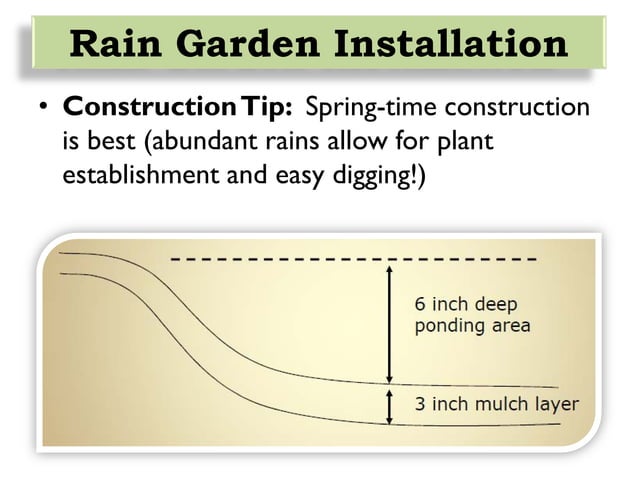 Rain Garden Design, Installation and Maintenance