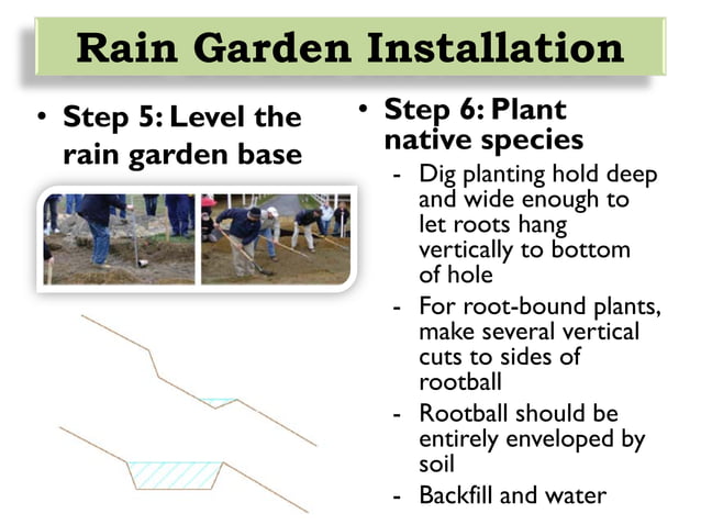 Rain Garden Design, Installation and Maintenance