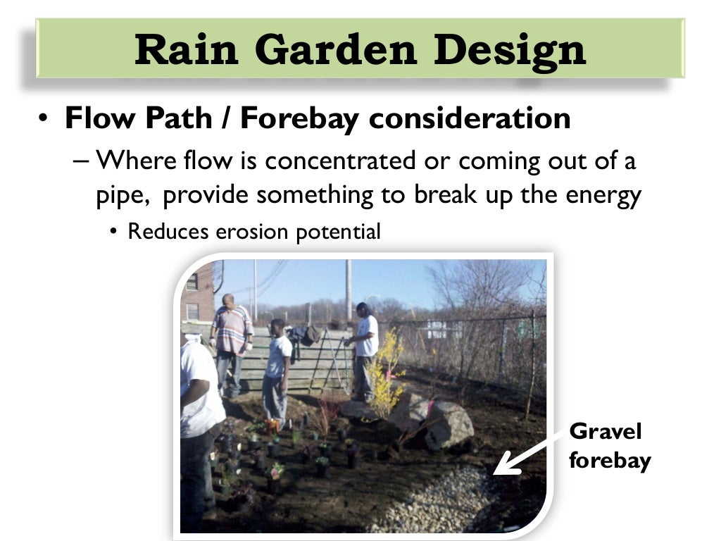 Rain Garden Design, Installation and Maintenance