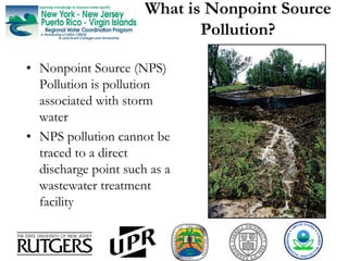 Rain Gardens: Stormwater Management in your Backyard | PDF