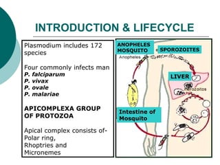 recent advances in hemoparasites | PPT