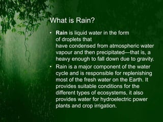 Rain org | PPTX