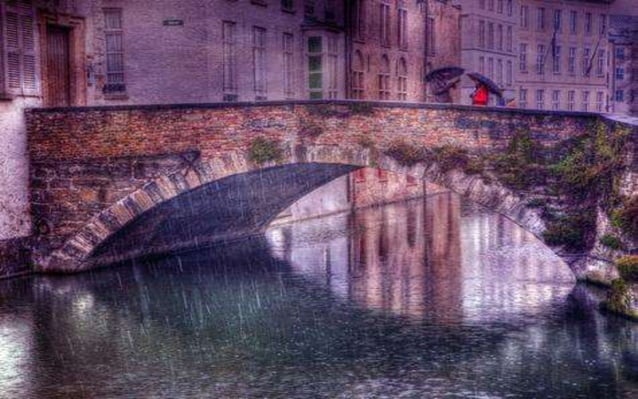 Patrick Mahony - Pictures | PPSX