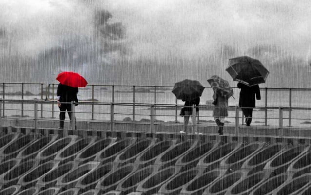 Patrick Mahony - Pictures | PPT