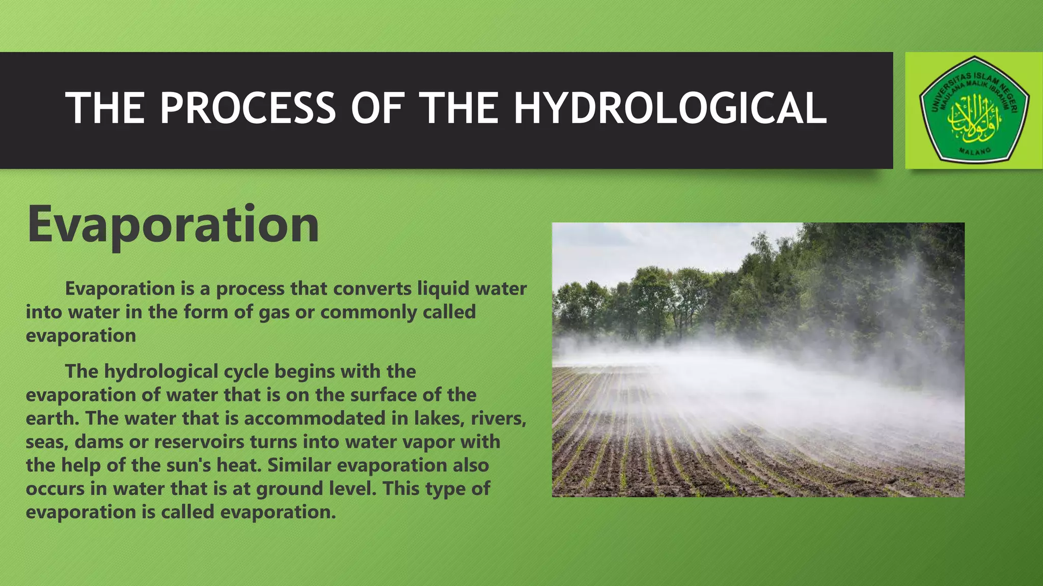 Rainwater | PPT