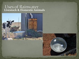 WATTS Conference- Basics of Rainwater Harvesting | PDF