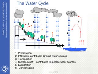 Rainwater Harvesting.ppt