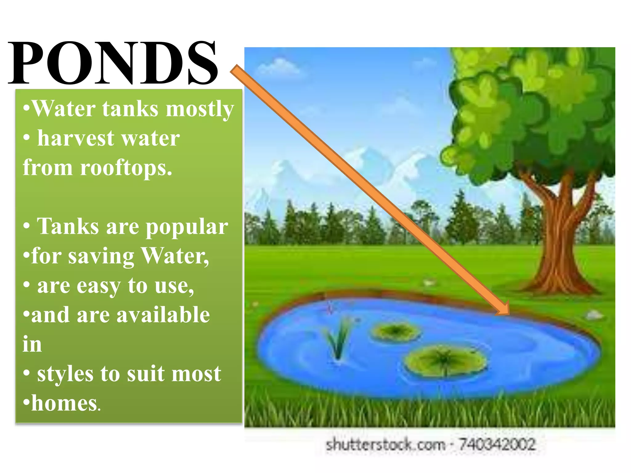 RainWater Harvesting.pptx | Agriculture | Industries