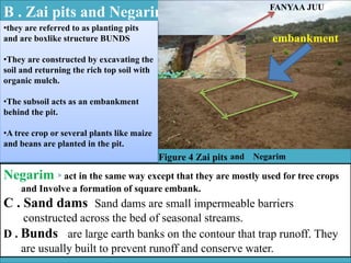 RainWater Harvesting.pptx | Agriculture | Industries