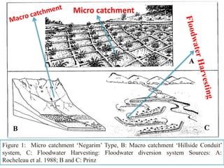 RainWater Harvesting.pptx