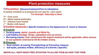 pest and disease management in vegetables during rainy season | PPTX