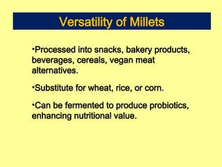 Millet Processing and Export Potential in Chattisgarh-Ensuring Food ...