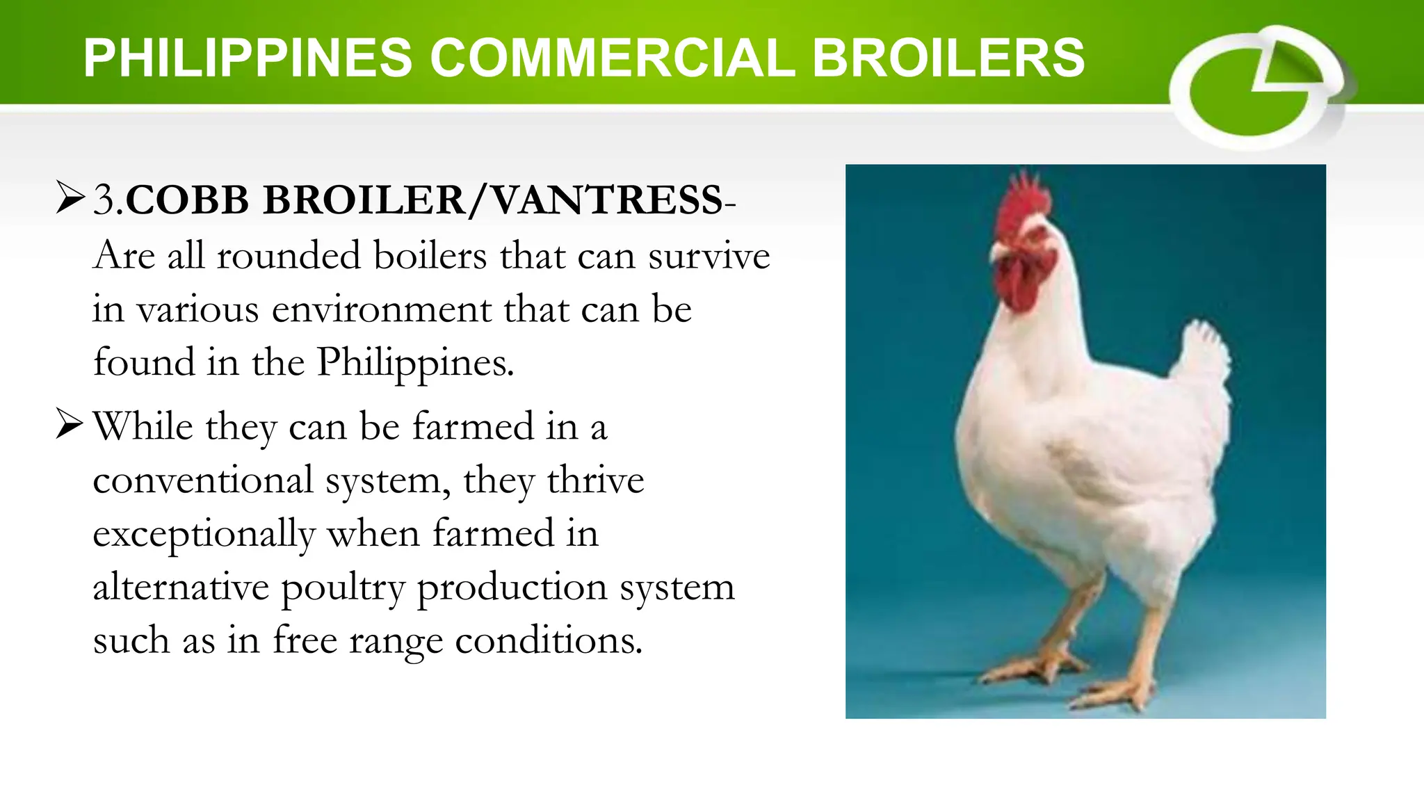 RAISE-ORGANIC-CHICKEN.pptx-final-to-discuss-today.pptx