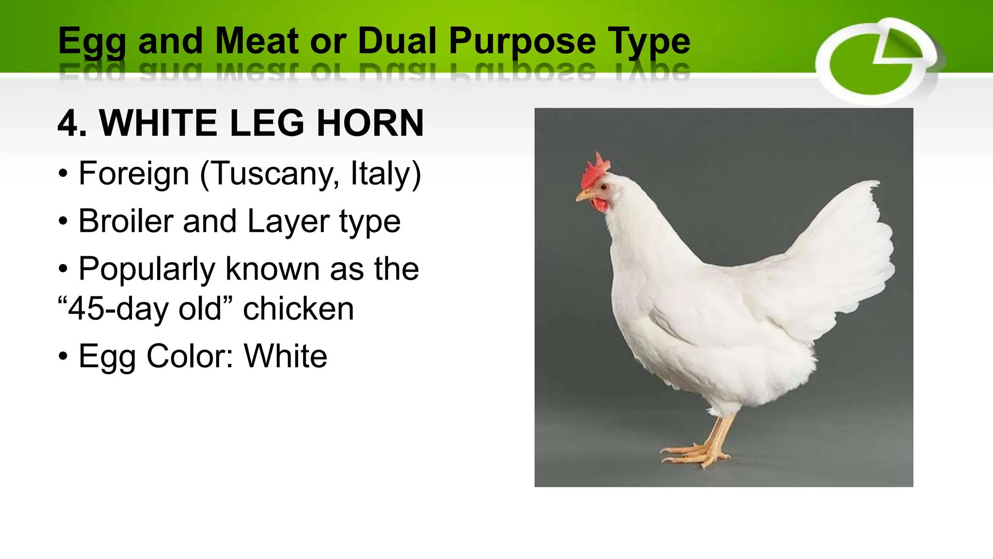 RAISE-ORGANIC-CHICKEN.pptx-final-to-discuss-today.pptx