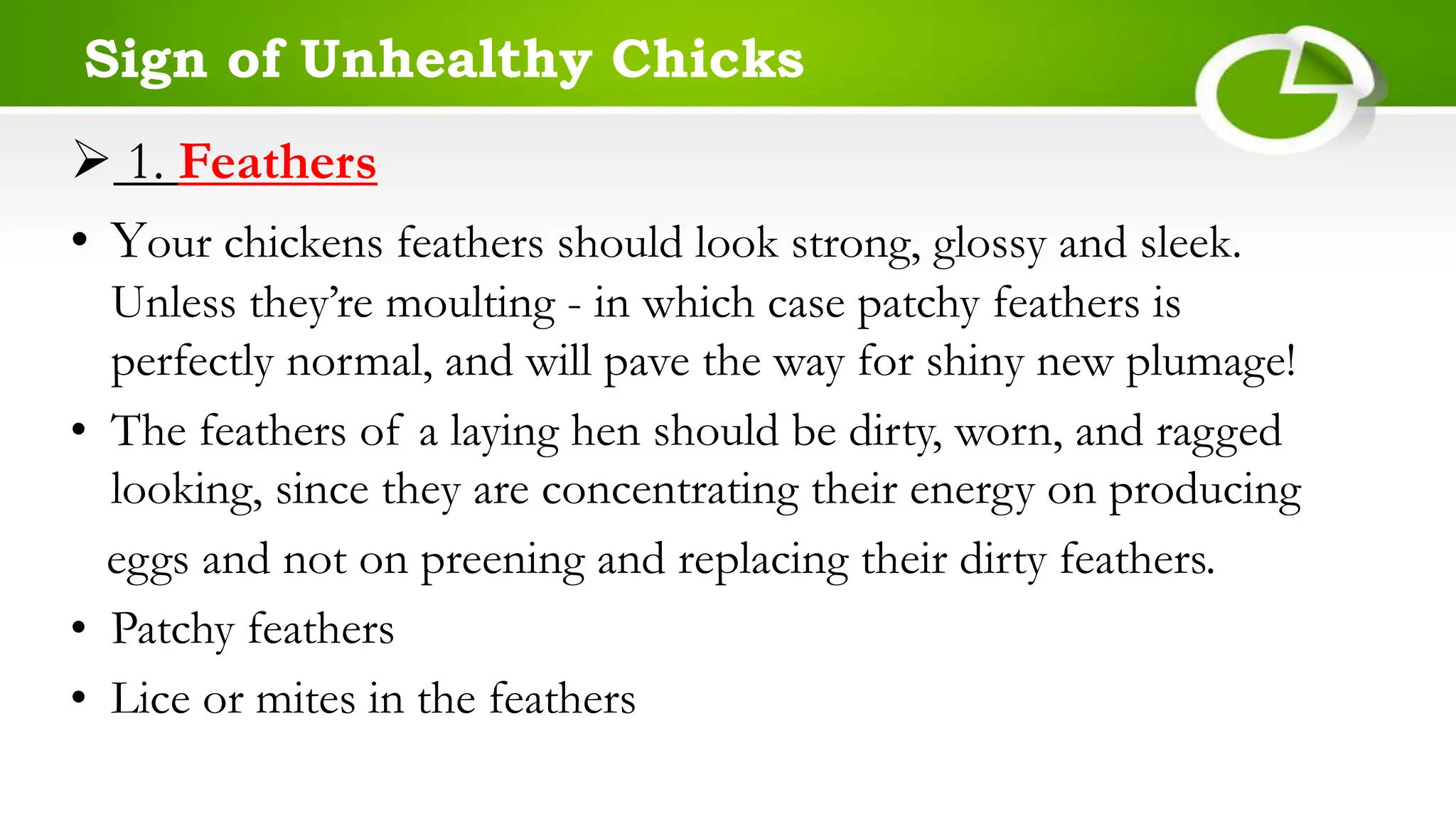 RAISE-ORGANIC-CHICKEN.pptx-final-to-discuss-today.pptx