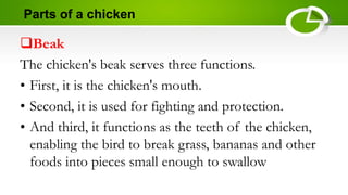 RAISE-ORGANIC-CHICKEN.pptx-final-to-discuss-today.pptx