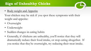 RAISE-ORGANIC-CHICKEN.pptx-final-to-discuss-today.pptx