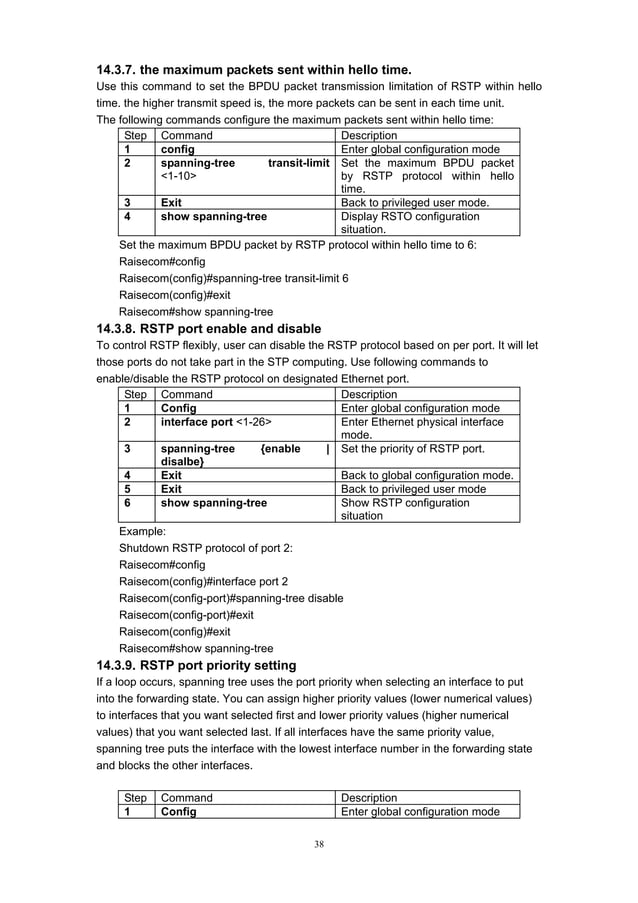 Raisecom Switch Software Configuration Guide.pdf