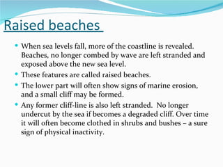 Raised beaches and estuaries 2011 | PPT