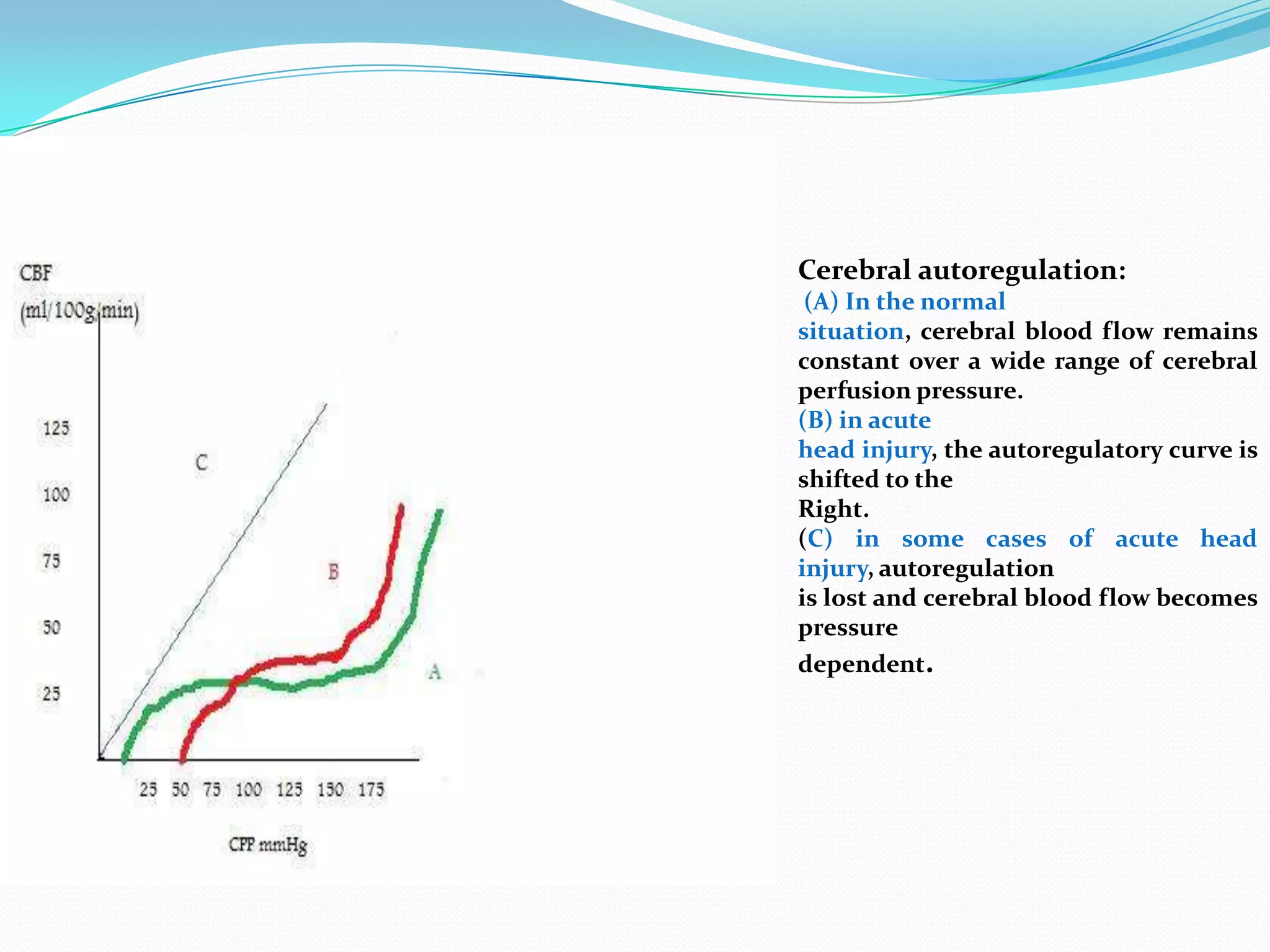 Raised Intracranial Pressure | PPTX