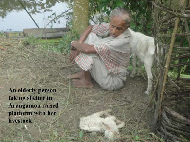 Raised platforms aids relief work | PPTX
