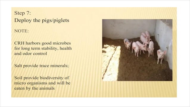 RaiseOrganicHogs Organic Agriculture Production.pdf