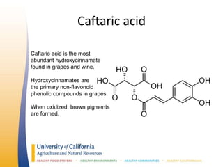 Raisin browning | PPTX