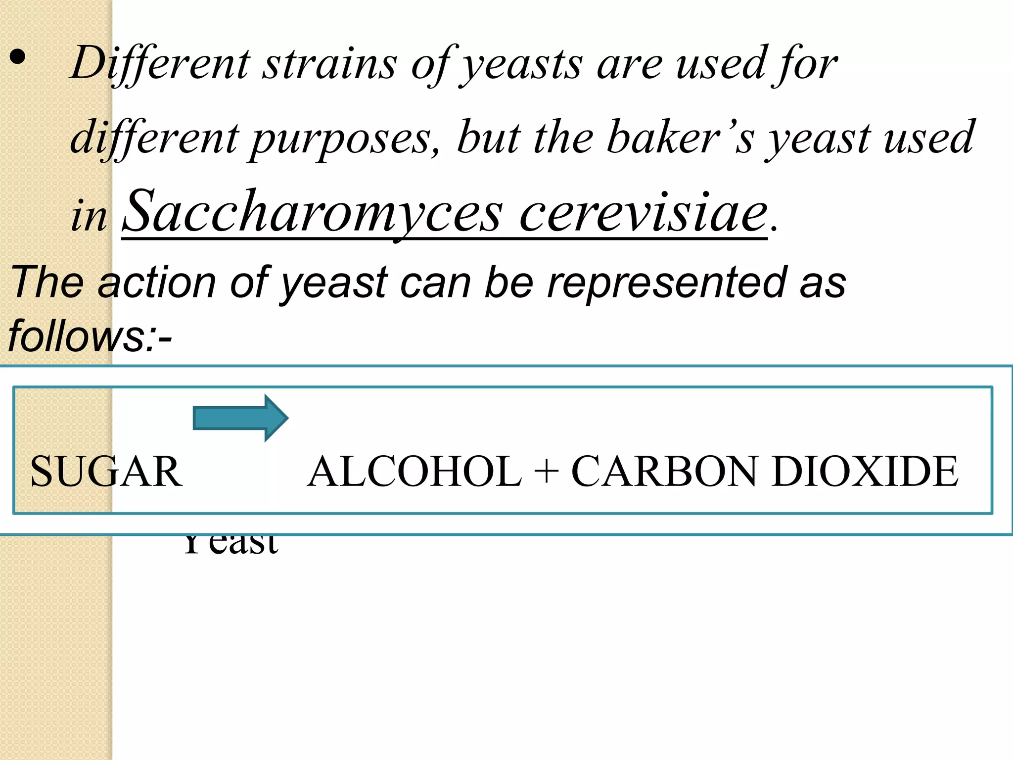 Raising agents | PPTX
