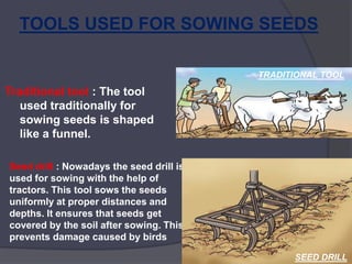 Raising crops | PPTX | Agriculture | Industries