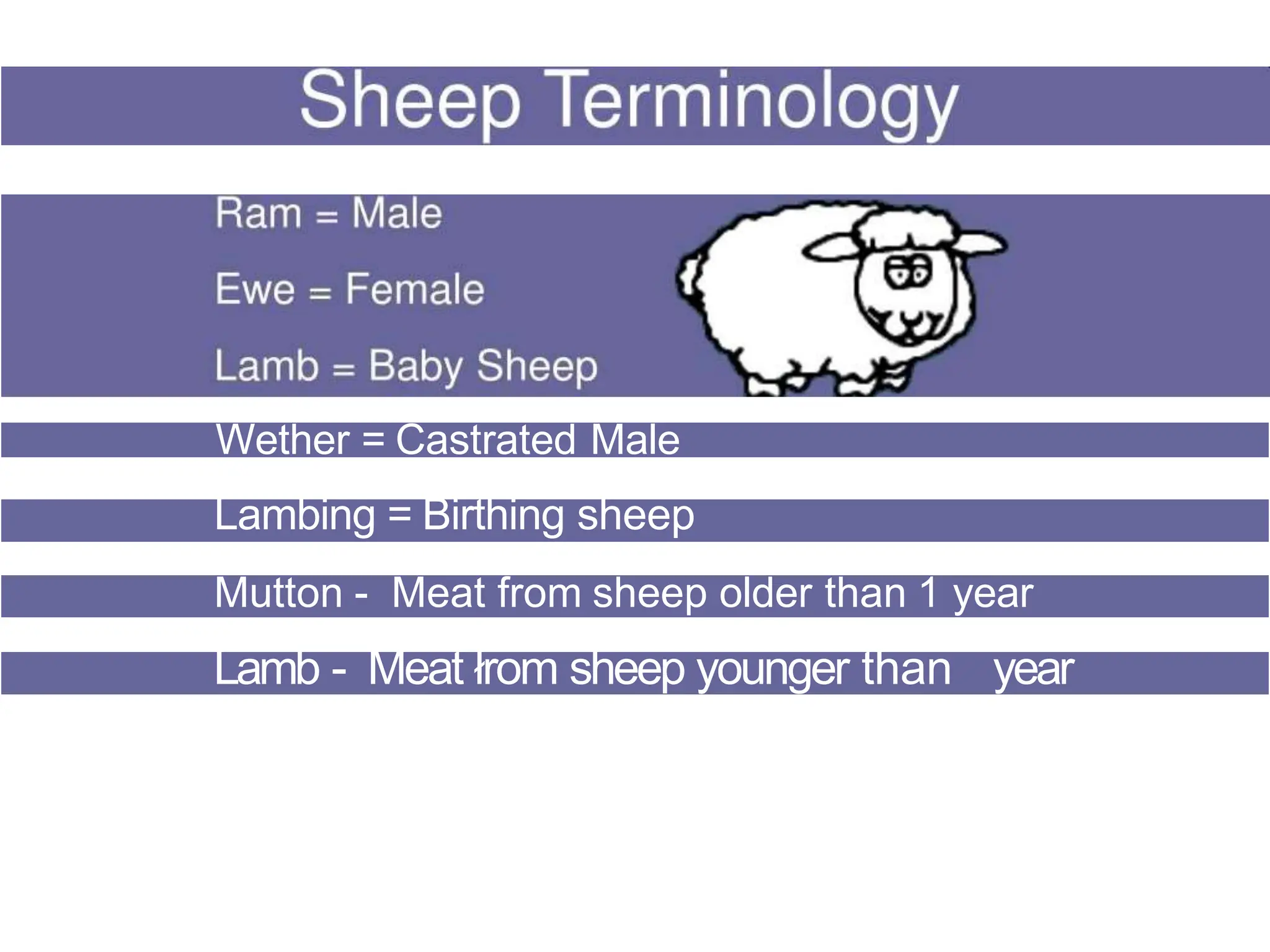 Raising Small Organic Ruminants (credits to the owner).pptx