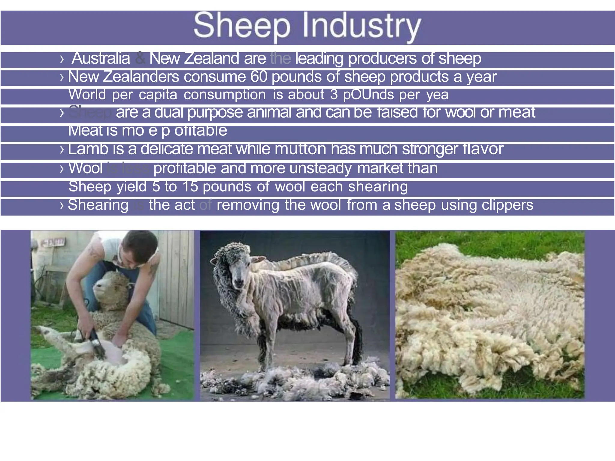 Raising Small Organic Ruminants (credits to the owner).pptx