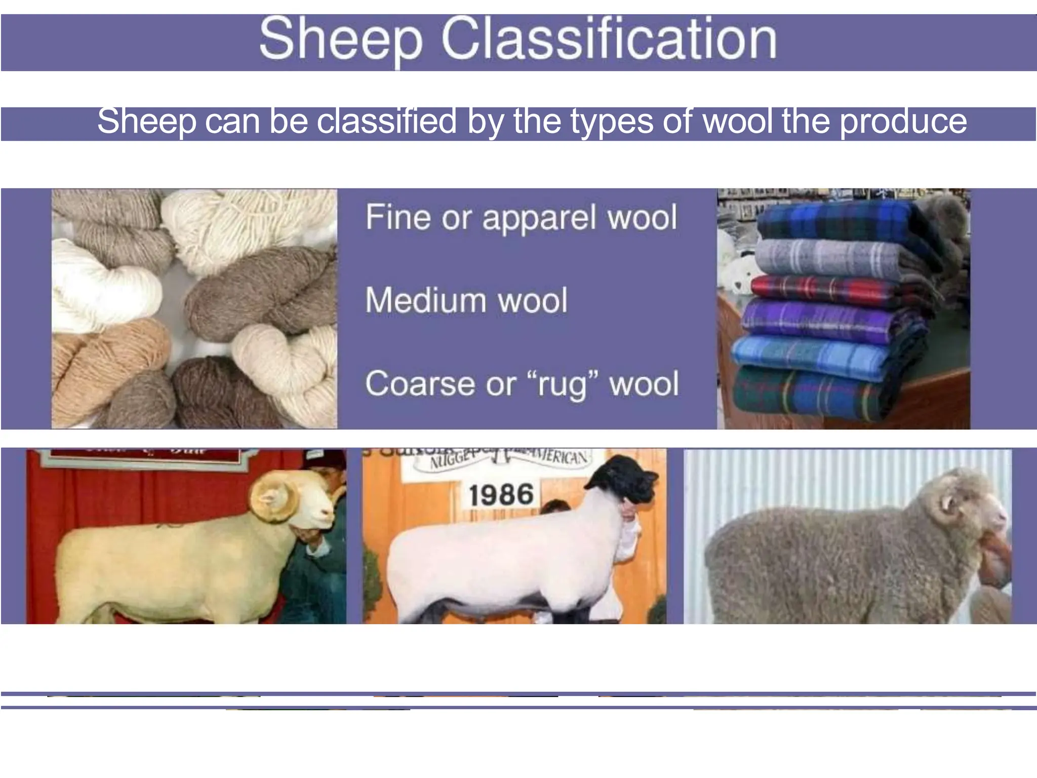 Raising Small Organic Ruminants (credits to the owner).pptx