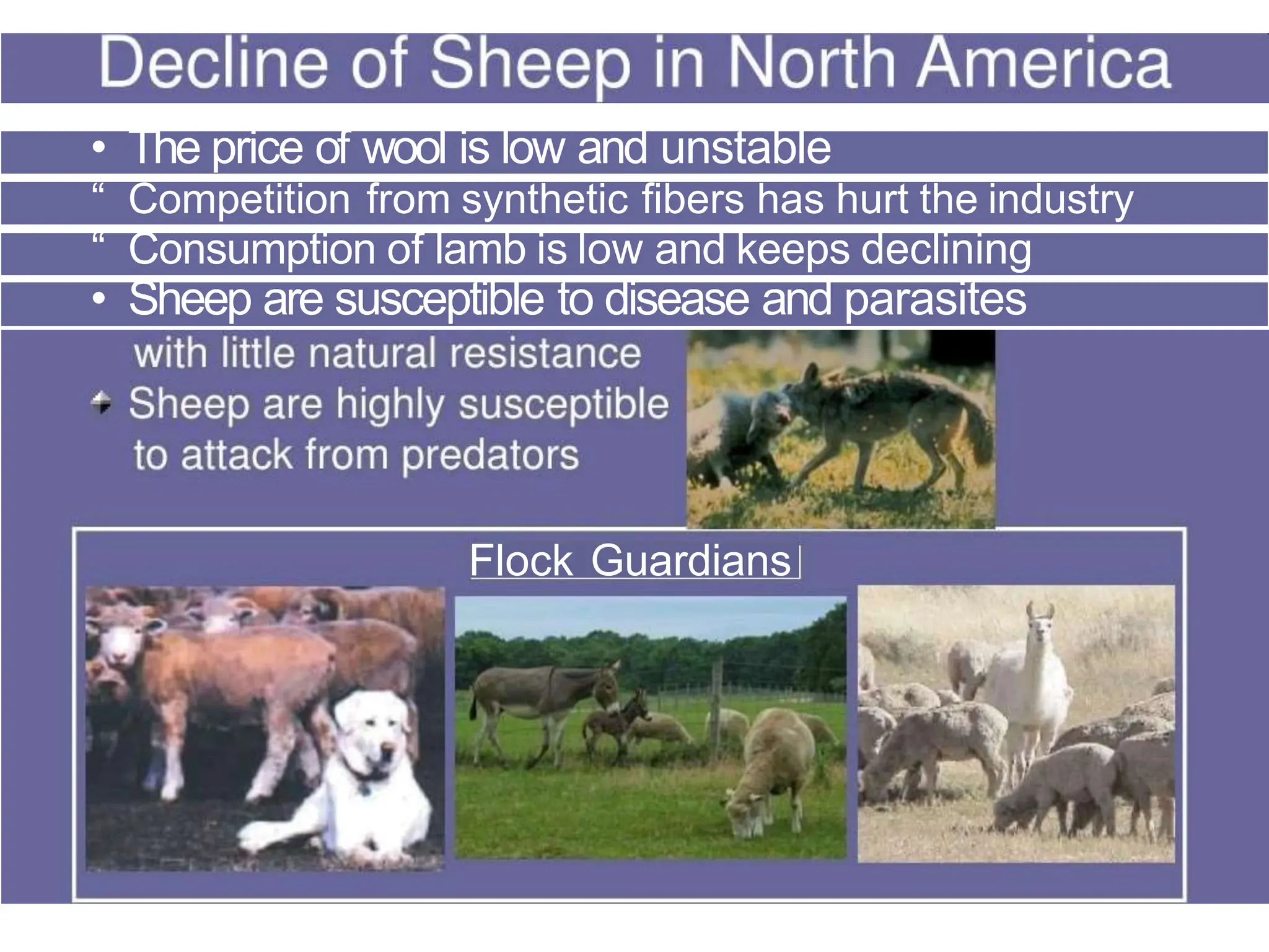 Raising Small Organic Ruminants (credits to the owner).pptx