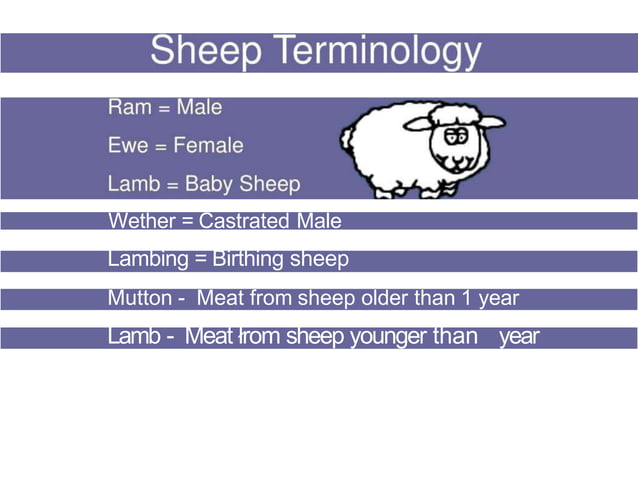 Raising Small Organic Ruminants (credits to the owner).pptx