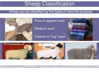 Raising Small Organic Ruminants (credits to the owner).pptx