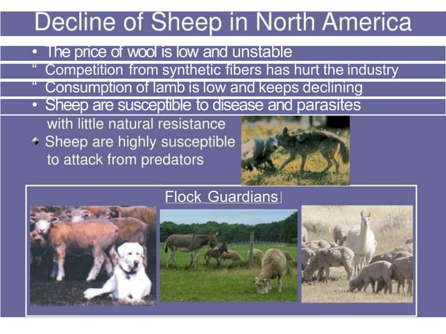 Raising Small Organic Ruminants (credits to the owner).pptx