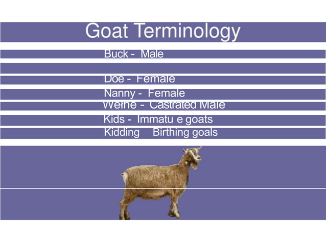 Raising Small Organic Ruminants (credits to the owner).pptx