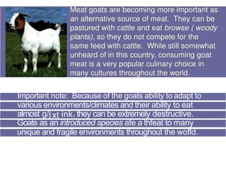 Raising Small Organic Ruminants (credits to the owner).pptx