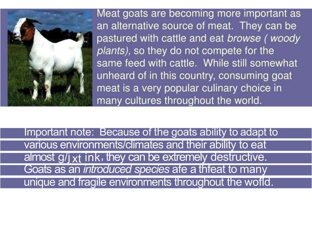 Raising Small Organic Ruminants (credits to the owner).pptx