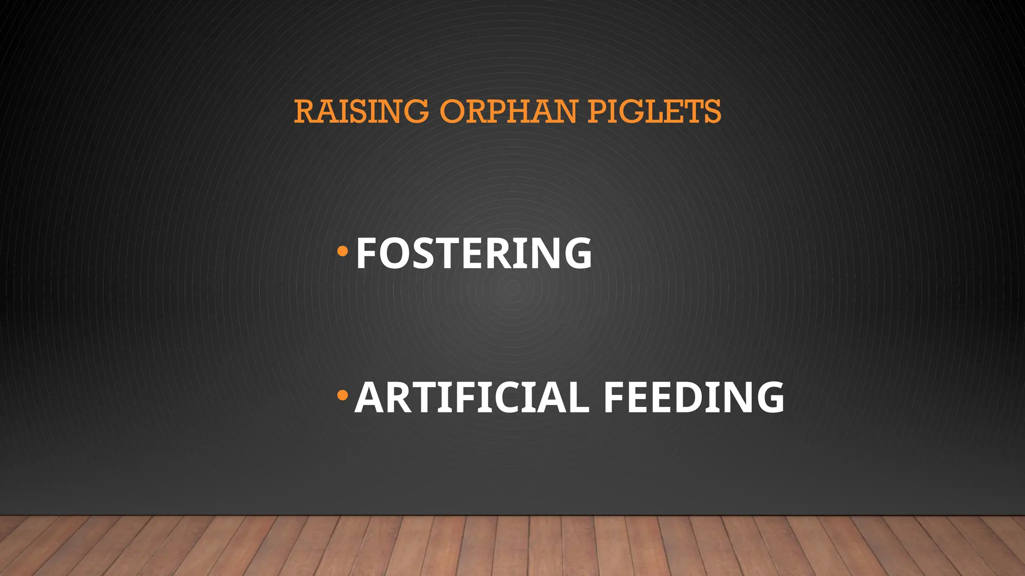 Veterinary piglets Raising orphan Piglets.pptx