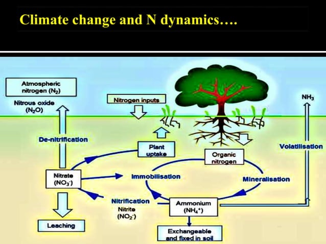 Climate change impacts on soil health and their mitigation and ...