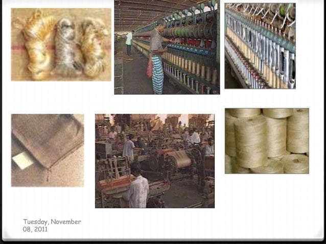 mesta fiber crop | PPTX | Agriculture | Industries