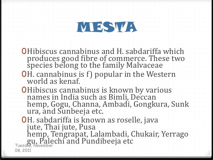 Mesta Fiber Crop mesta-fiber-crop