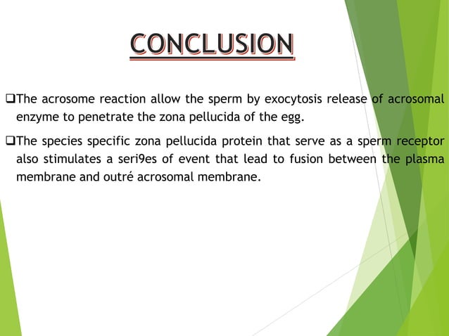 acrosome reaction | PPT | Infertility | Reproductive Health
