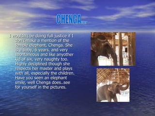 Rajagopalswamy | PPT